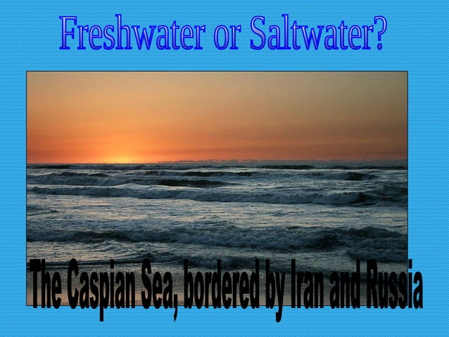 Saltwater vs. Freshwater | PPT