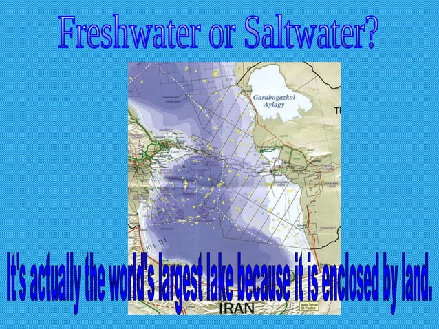 Saltwater vs. Freshwater | PPT