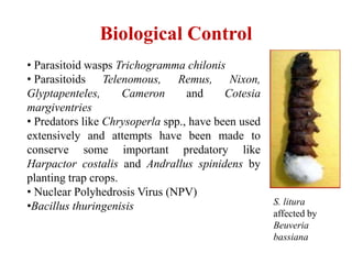 Biological control approaches in tomato pests | PPTX