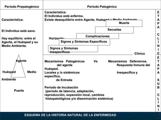 ETAPAS DE LA ENFERMEDAD | PPT