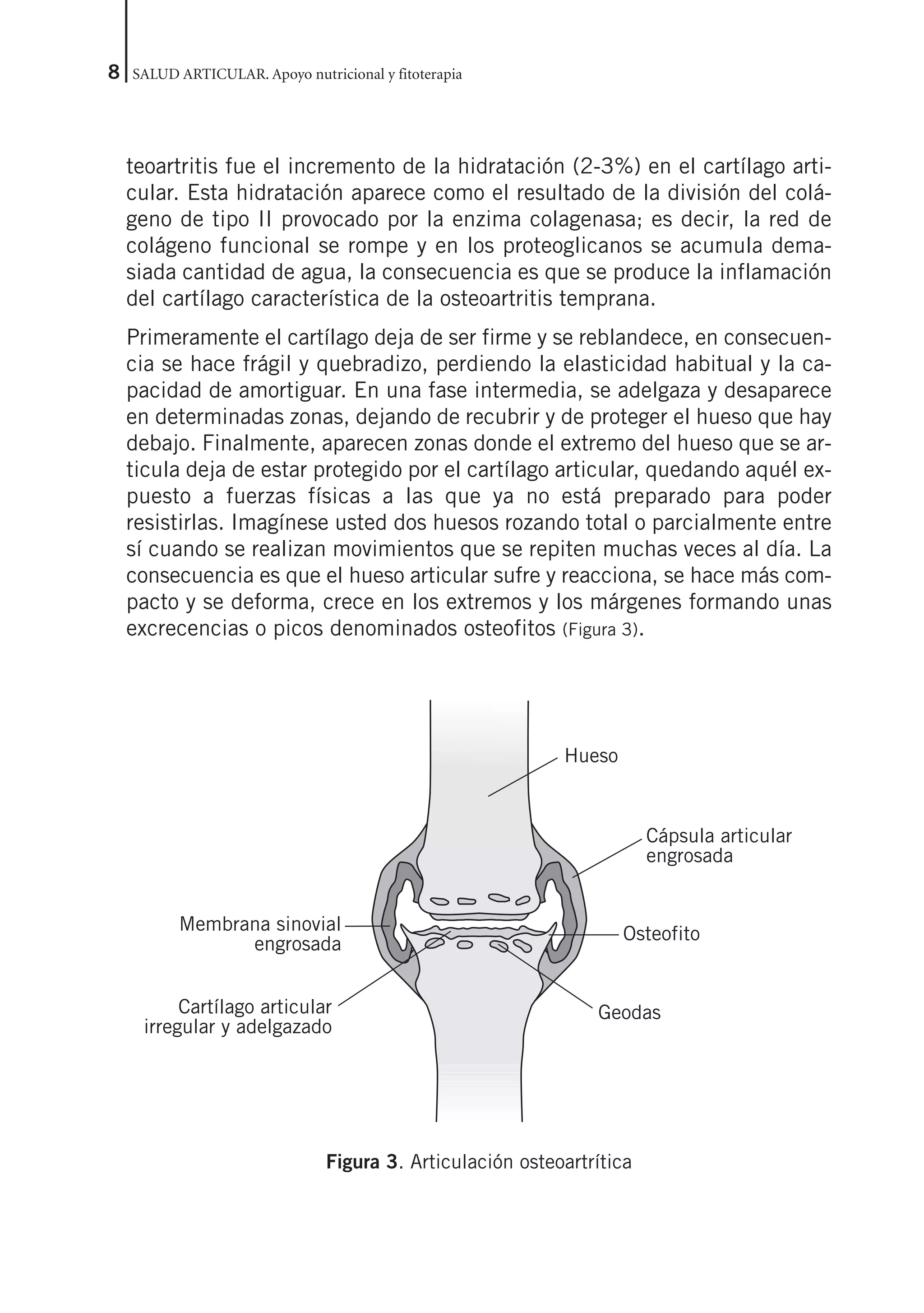 Salud articular apoyo_nutricional_y_fitoterapia | PDF