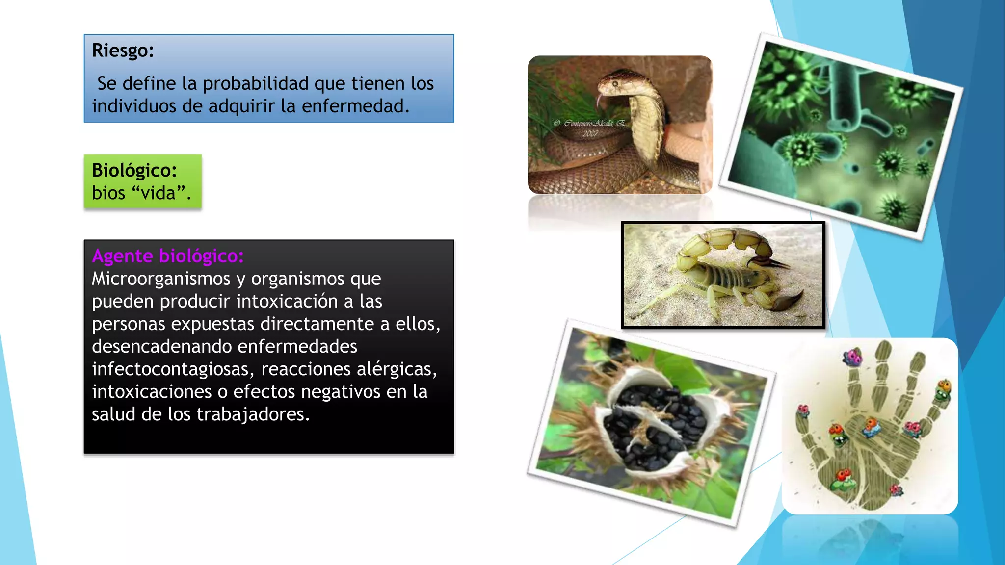 Salud Ocupacional - RIESGOS BIOLOGICOS | PPT