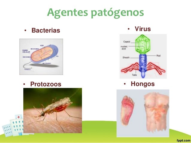 Salud y enfermedad ii. enfermedades infecciosas