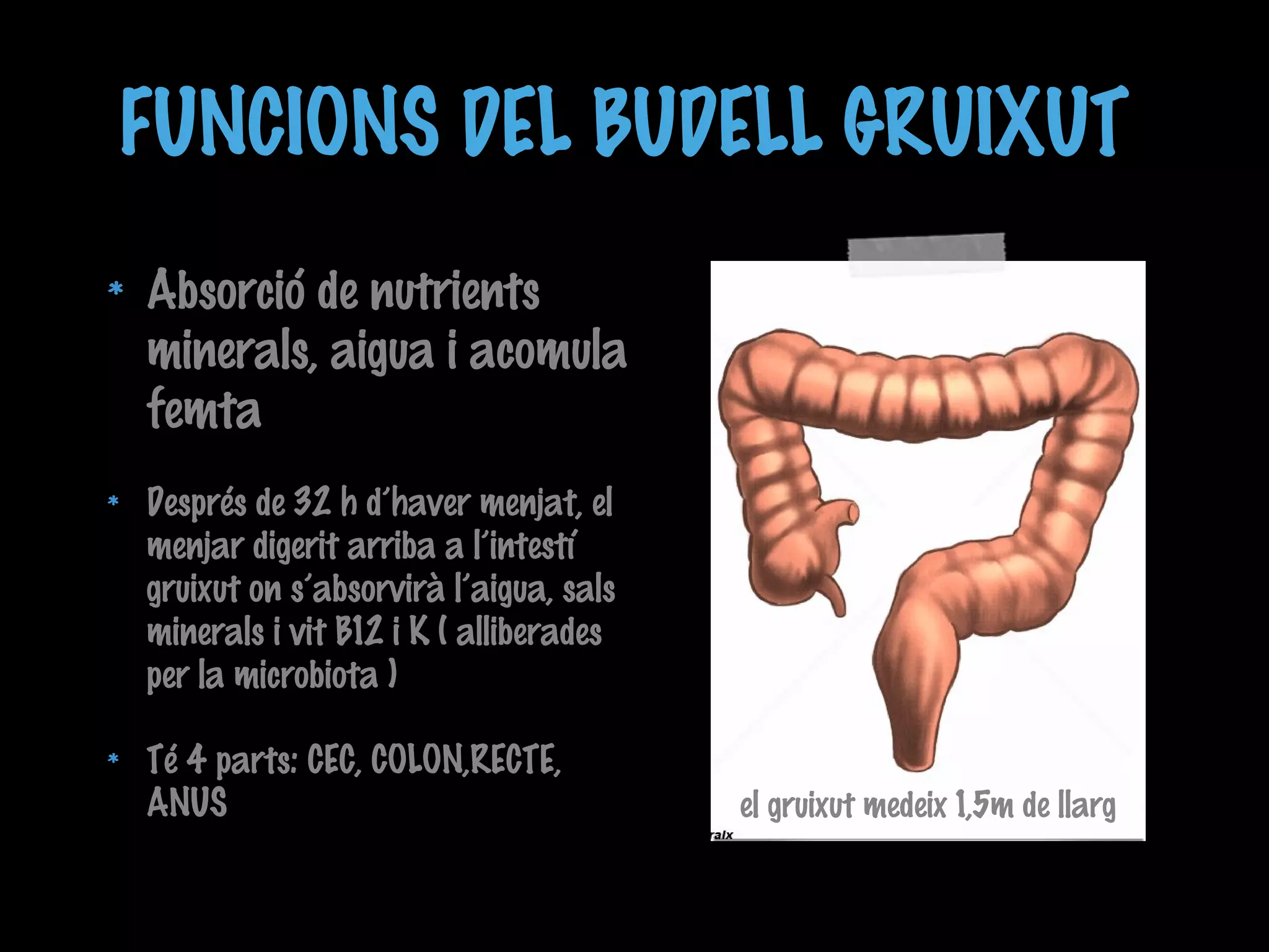 SALUT INTESTINAL: QUALITAT DE VIDA | PPT