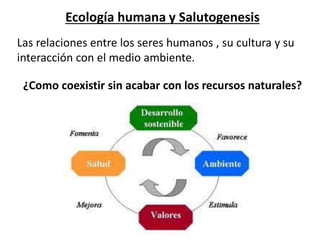 Salutogénesis y Autocuidado | PPTX