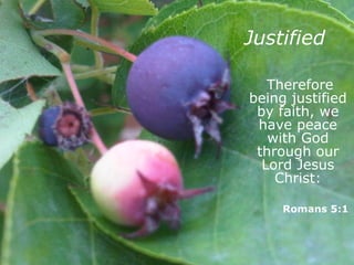 Salvation Presentation | PPT