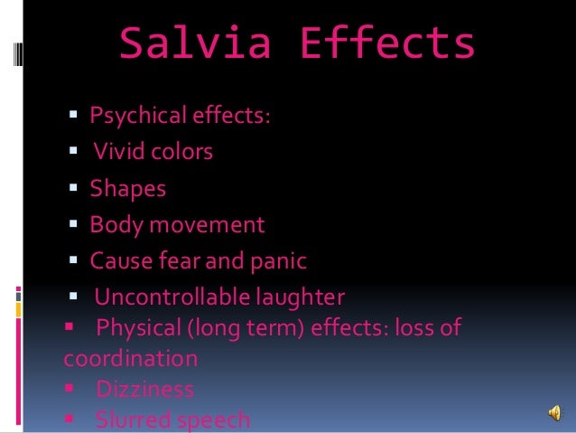 Salvia