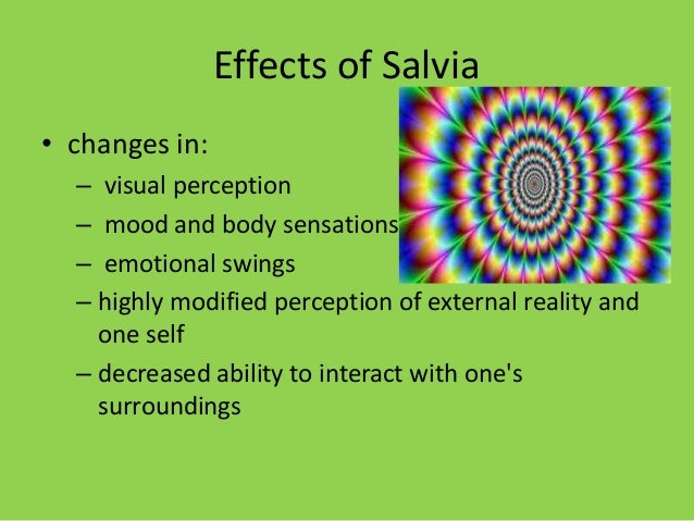 Salvia powerpoint