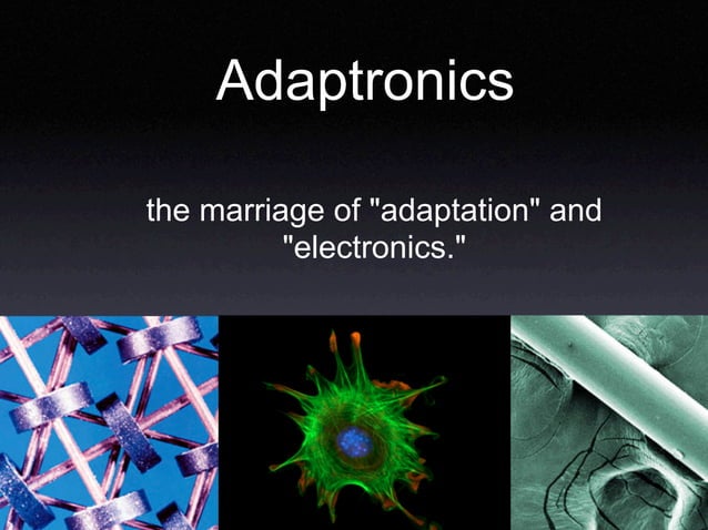 Self-Assembling Materials. | PPT