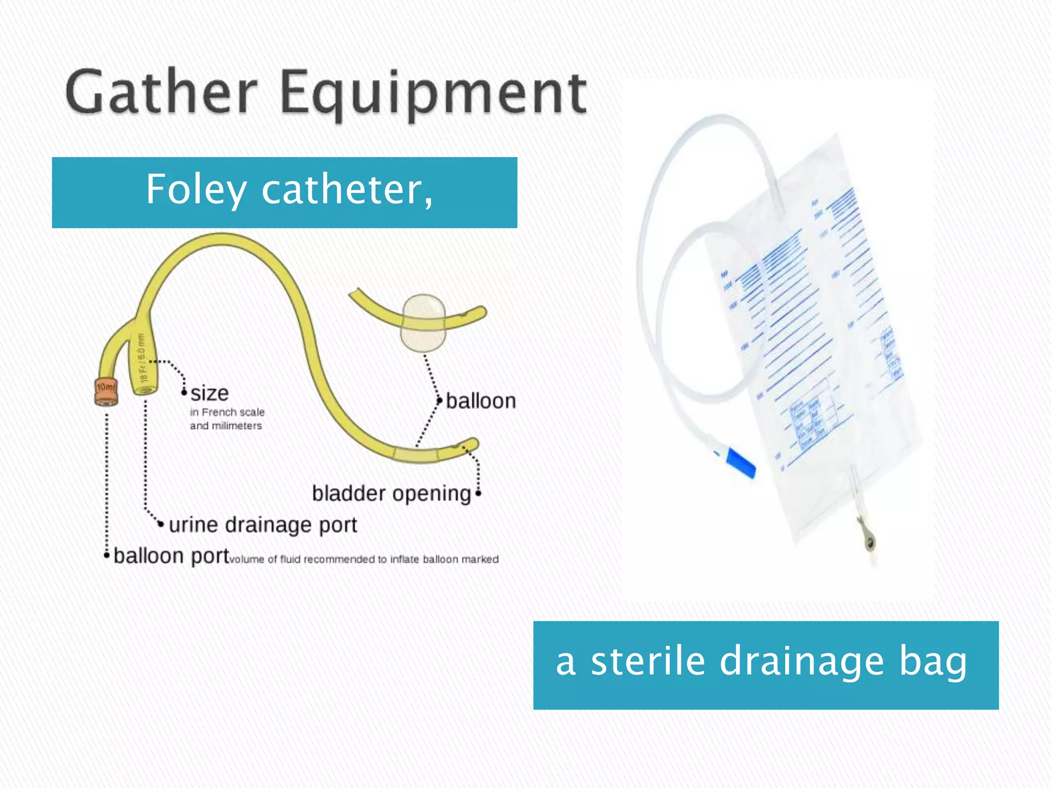 FOLEYS CATHETER | PPTX