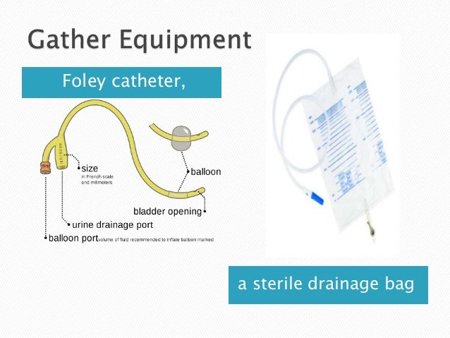 FOLEYS CATHETER