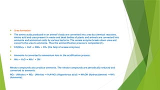 Soil and agricultural microbiology -ammonification | PPTX