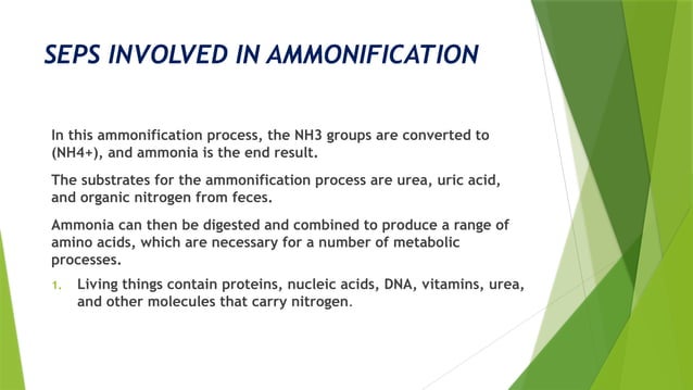 Soil and agricultural microbiology -ammonification | PPTX