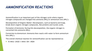 Soil and agricultural microbiology -ammonification | PPTX
