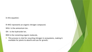 Soil and agricultural microbiology -ammonification | PPTX