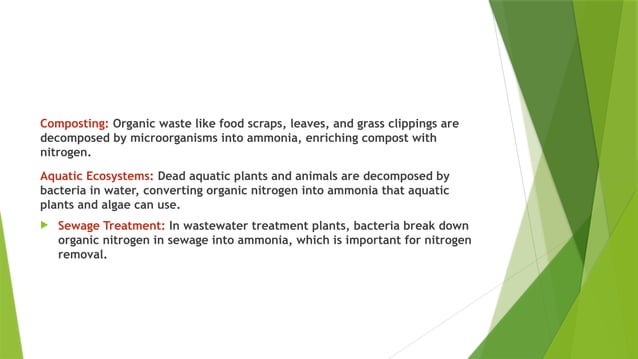 Soil and agricultural microbiology -ammonification | PPTX