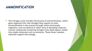 Soil and agricultural microbiology -ammonification | PPTX