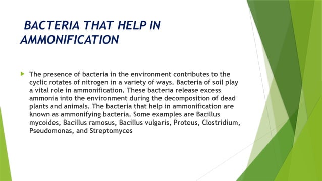 Soil and agricultural microbiology -ammonification | PPTX