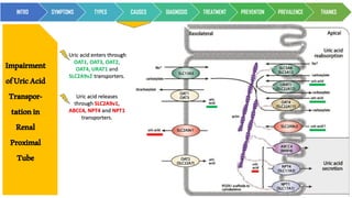 Gout - 7 Minute Presentation | PPT