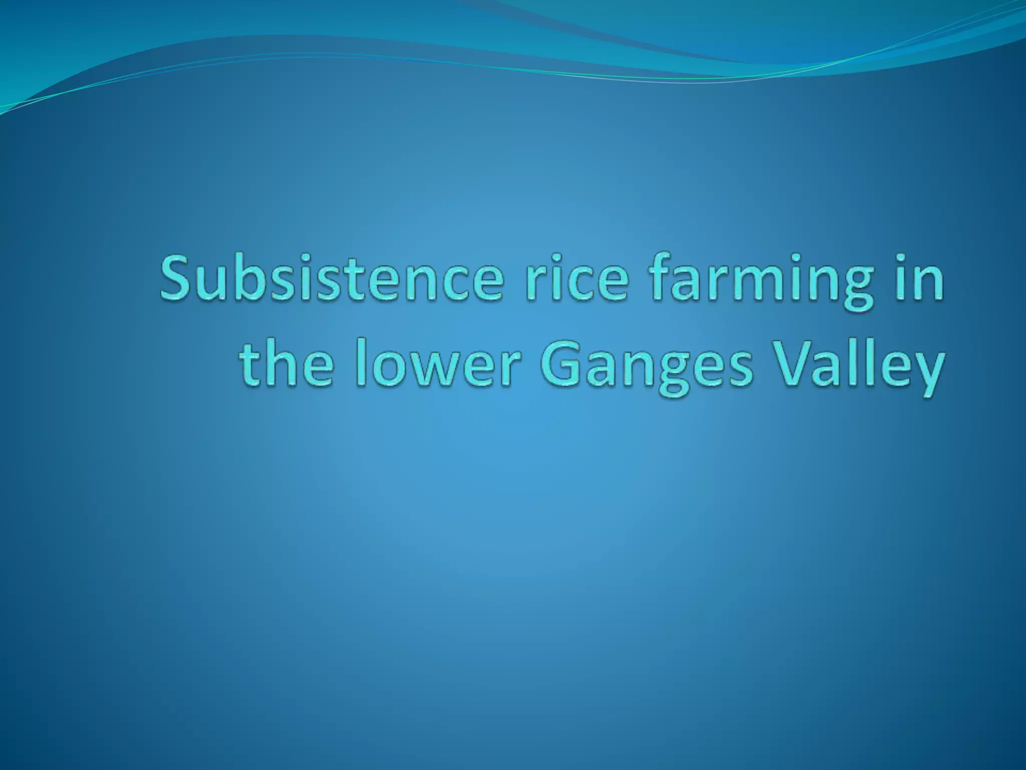 Geography-Subsistence rice farming in the lower ganges valley | PPTX