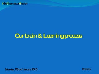 Brain and learning process | PPT