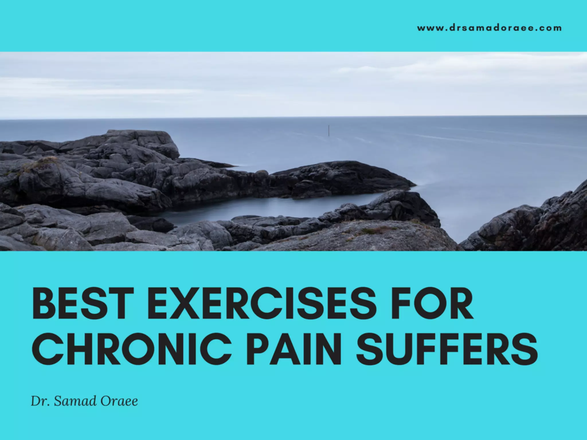 Samad Oraee - Best Exercises for Chronic Pain Suffers | PPT