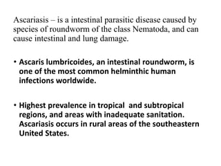 Ascariasis.pptx