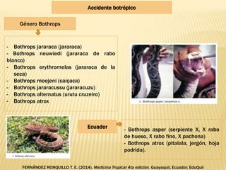 MORDEDURA DE SERPIENTE (ACCIDENTE OFIDICO) | PPTX