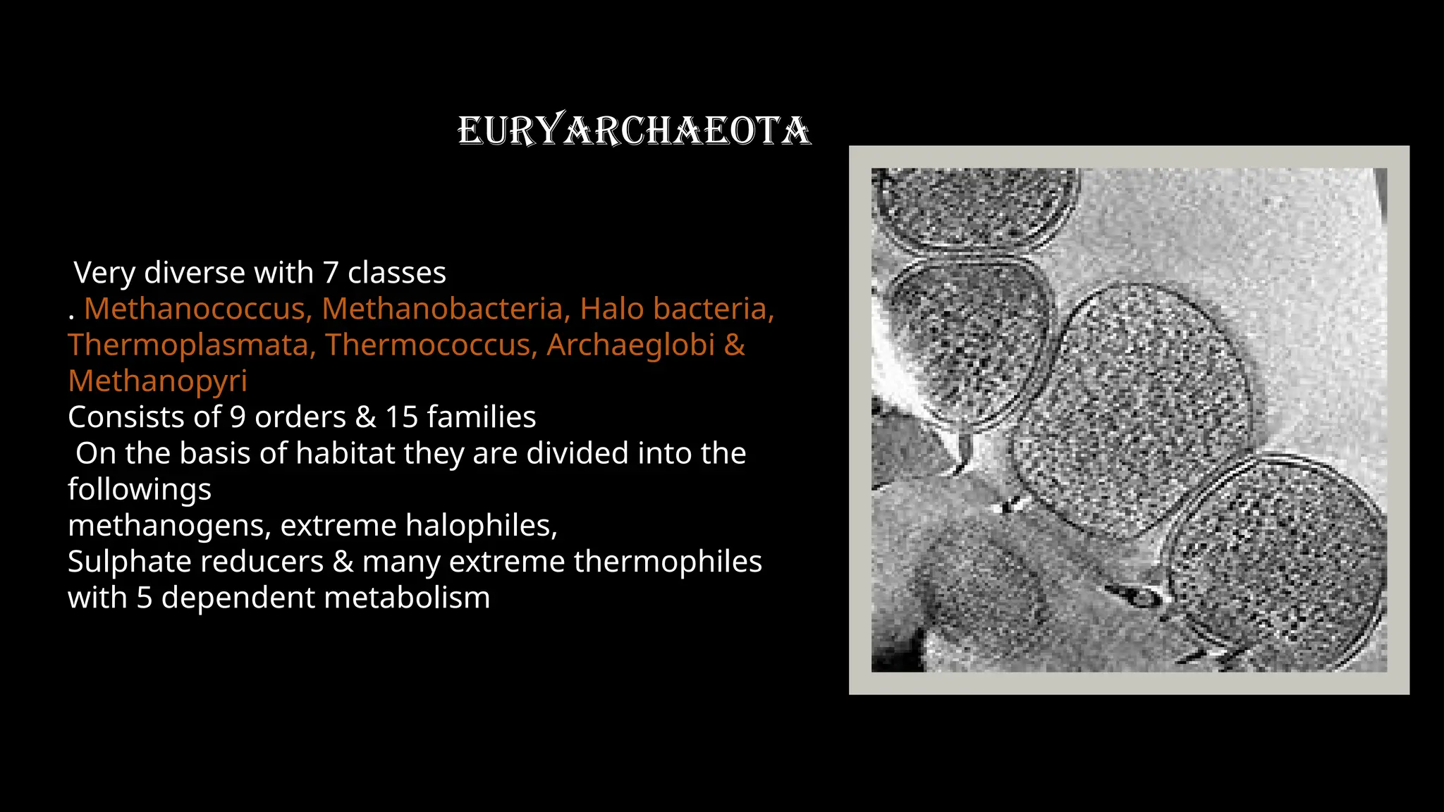 archaebacteria earliest life form microbiology | PPTX