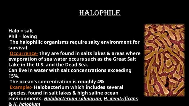 archaebacteria earliest life form microbiology | PPT