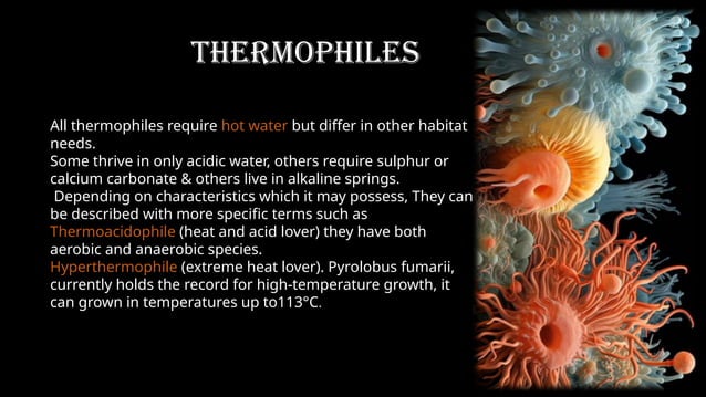 archaebacteria earliest life form microbiology | PPT