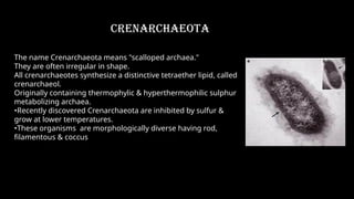 archaebacteria earliest life form microbiology | PPTX