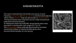 archaebacteria earliest life form microbiology | PPTX