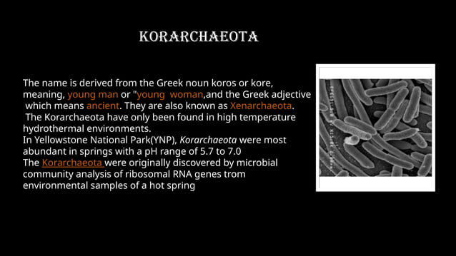 archaebacteria earliest life form microbiology | PPT