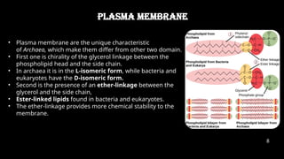 archaebacteria earliest life form microbiology | PPTX