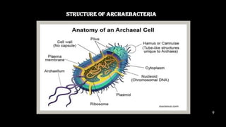 archaebacteria earliest life form microbiology | PPTX