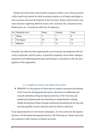 samara report - Copy.docx