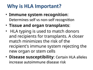 HLA and autoimmune disease .pptx aaaaaaa | PPTX
