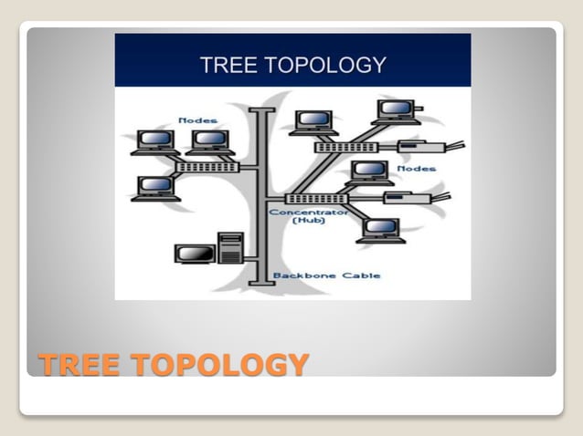 ppt on types of topology | PPTX | Computer Networking | Computing