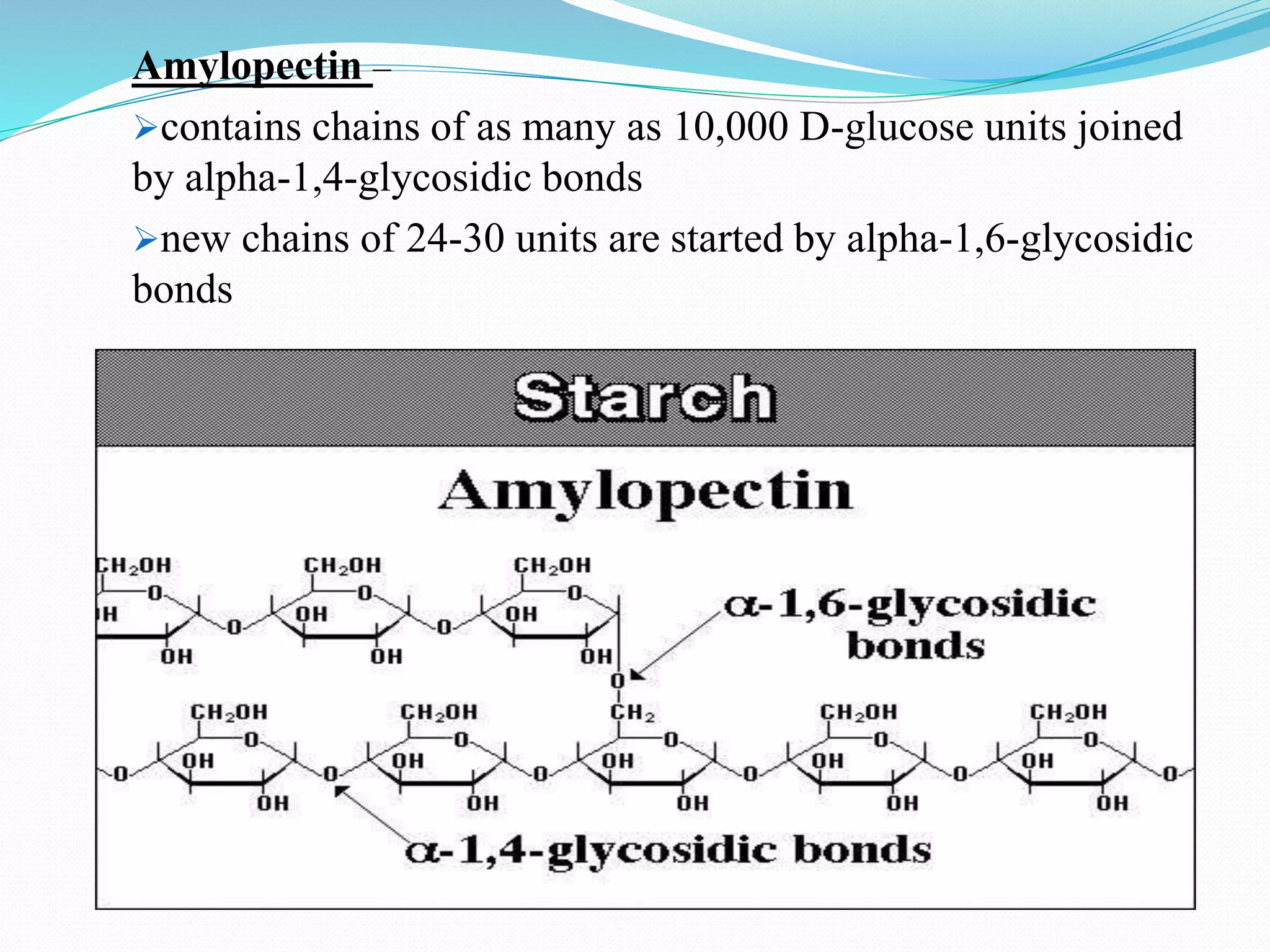 biosynthesis of polysaccharides | PPTX