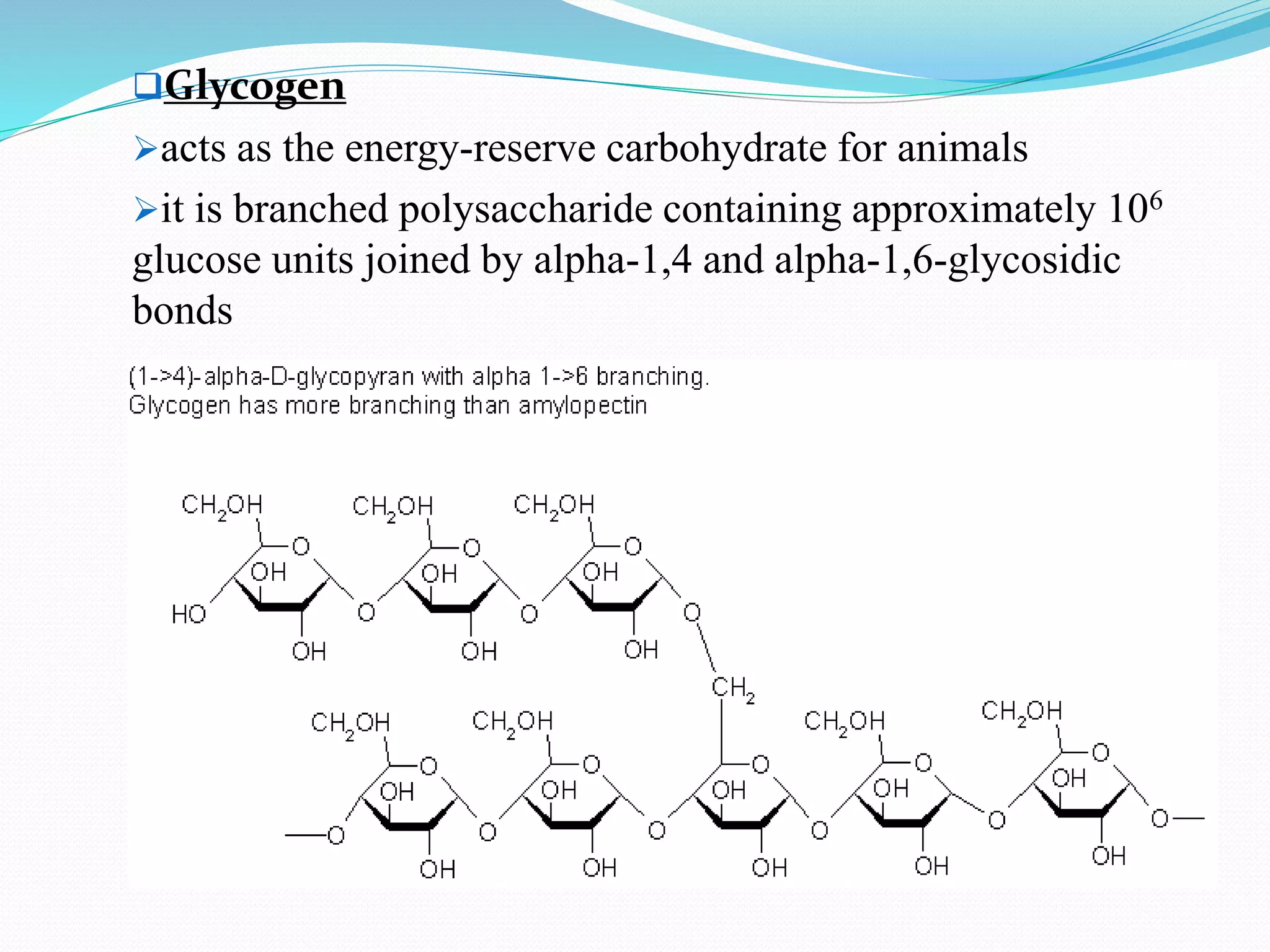 biosynthesis of polysaccharides | PPTX
