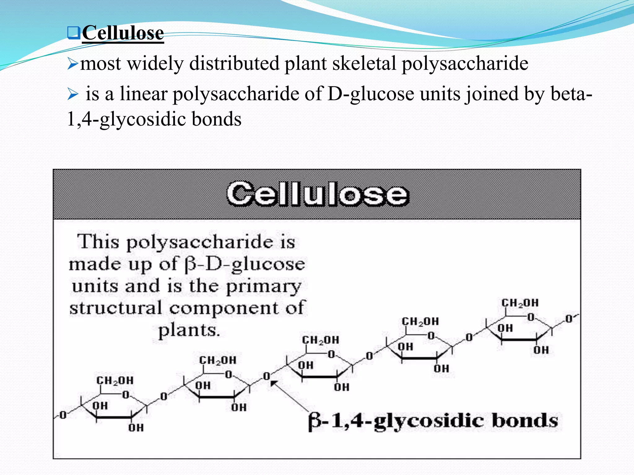 biosynthesis of polysaccharides | PPTX