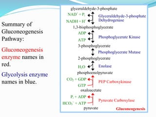 biosynthesis of polysaccharides | PPTX