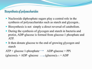 Simple Polysaccharide