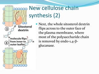 biosynthesis of polysaccharides | PPTX