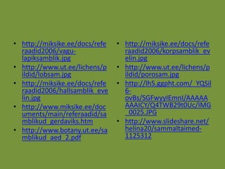 Samblad ja samblikud22222 | PPTX