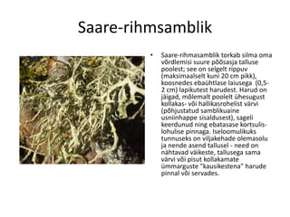 Samblikud | PDF