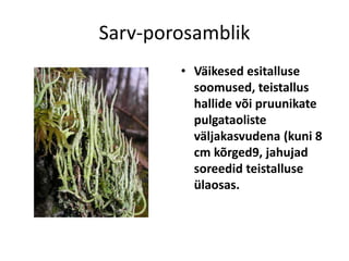 Samblikud | PDF