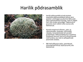 Samblikud | PDF