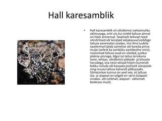 Samblikud | PDF